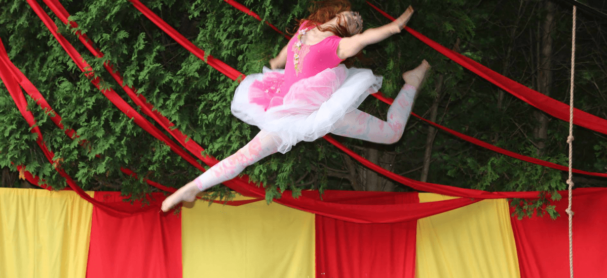 Contact – Emily Seibert